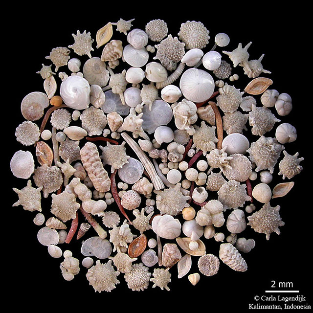 Reconstructing Paleoclimate - Serious Science